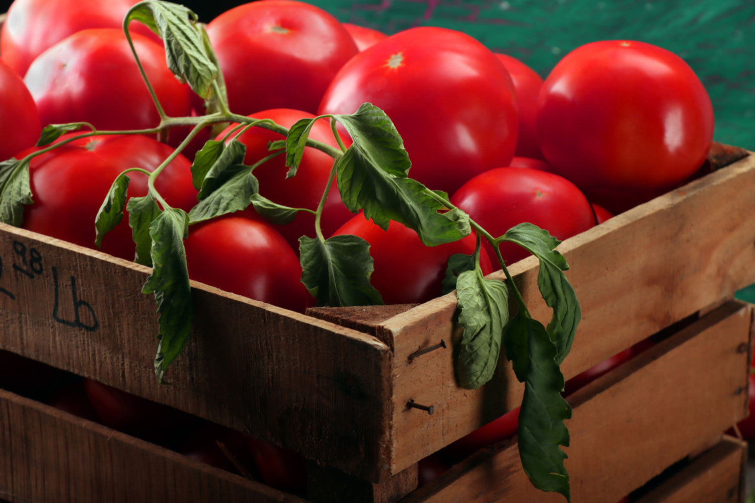 Darnell Farms Online Store